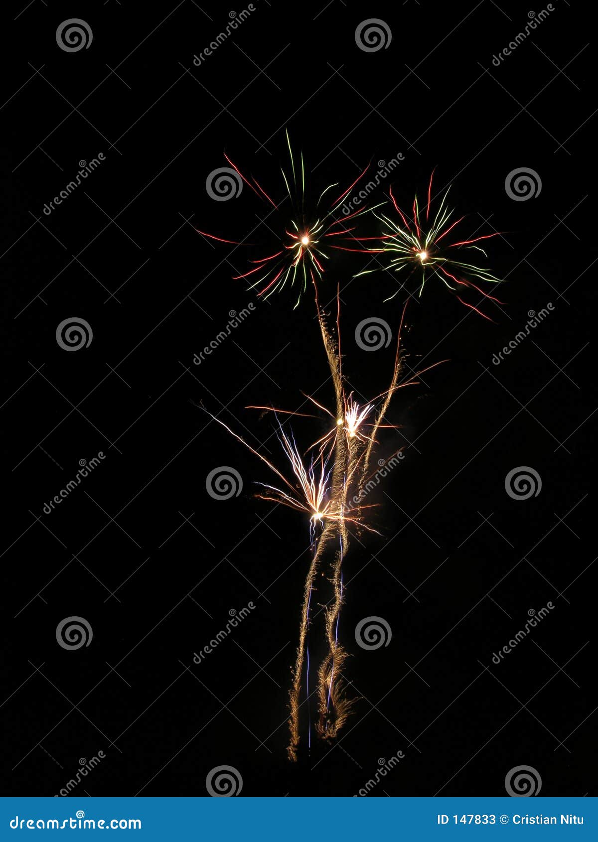 Fireworks Flowers Picture. Image: 147833