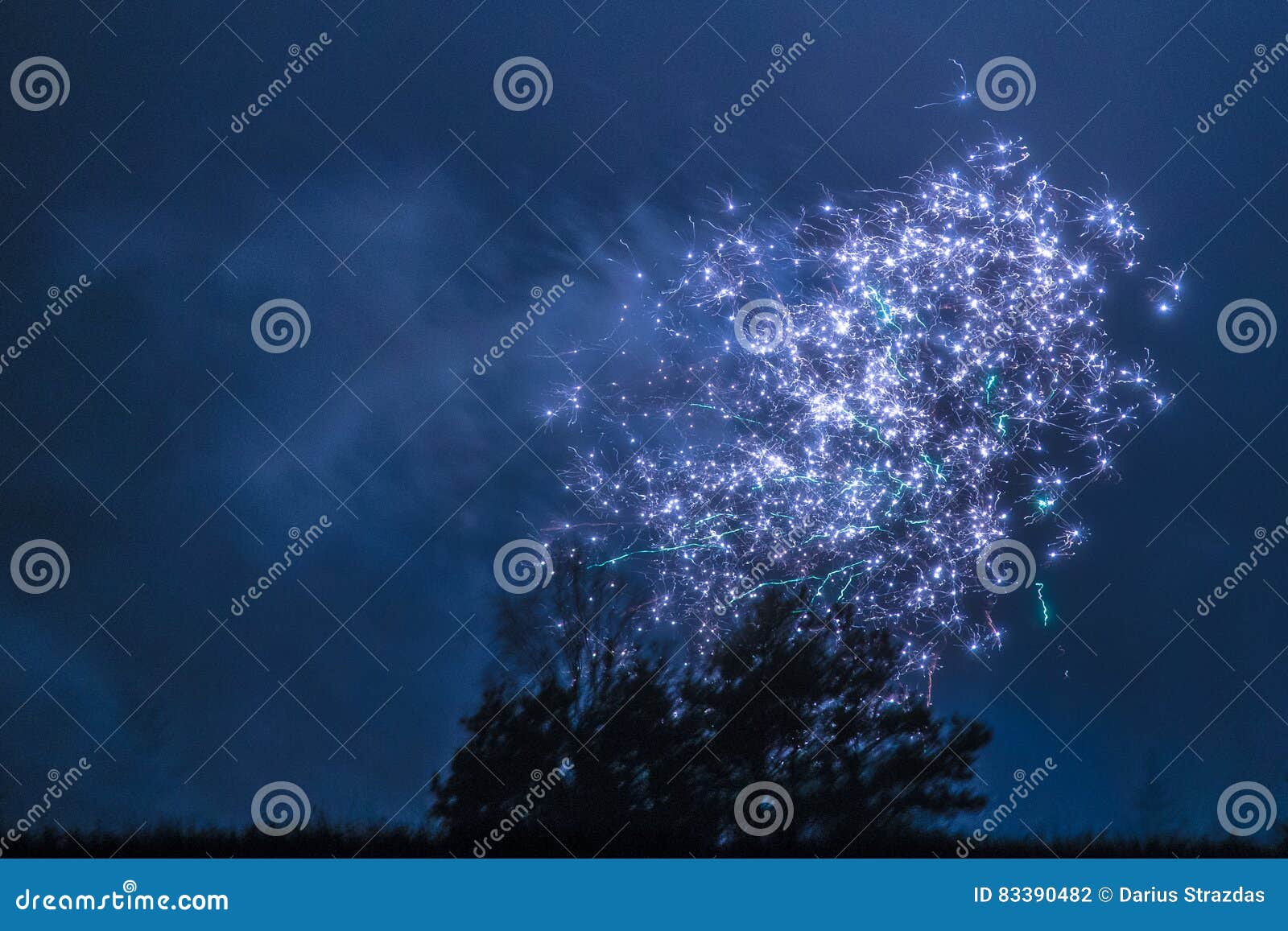 Fireworks and forest stock photo. Image of xmas, fire - 83390482