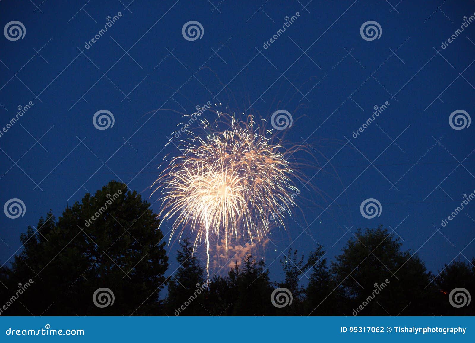 Fireworks 1 stock photo. Image of backyard, firework - 95317062
