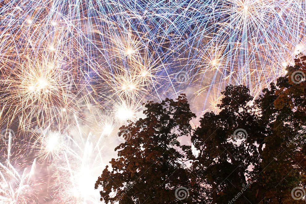 Fireworks over trees stock photo. Image of fire, lights - 7557992