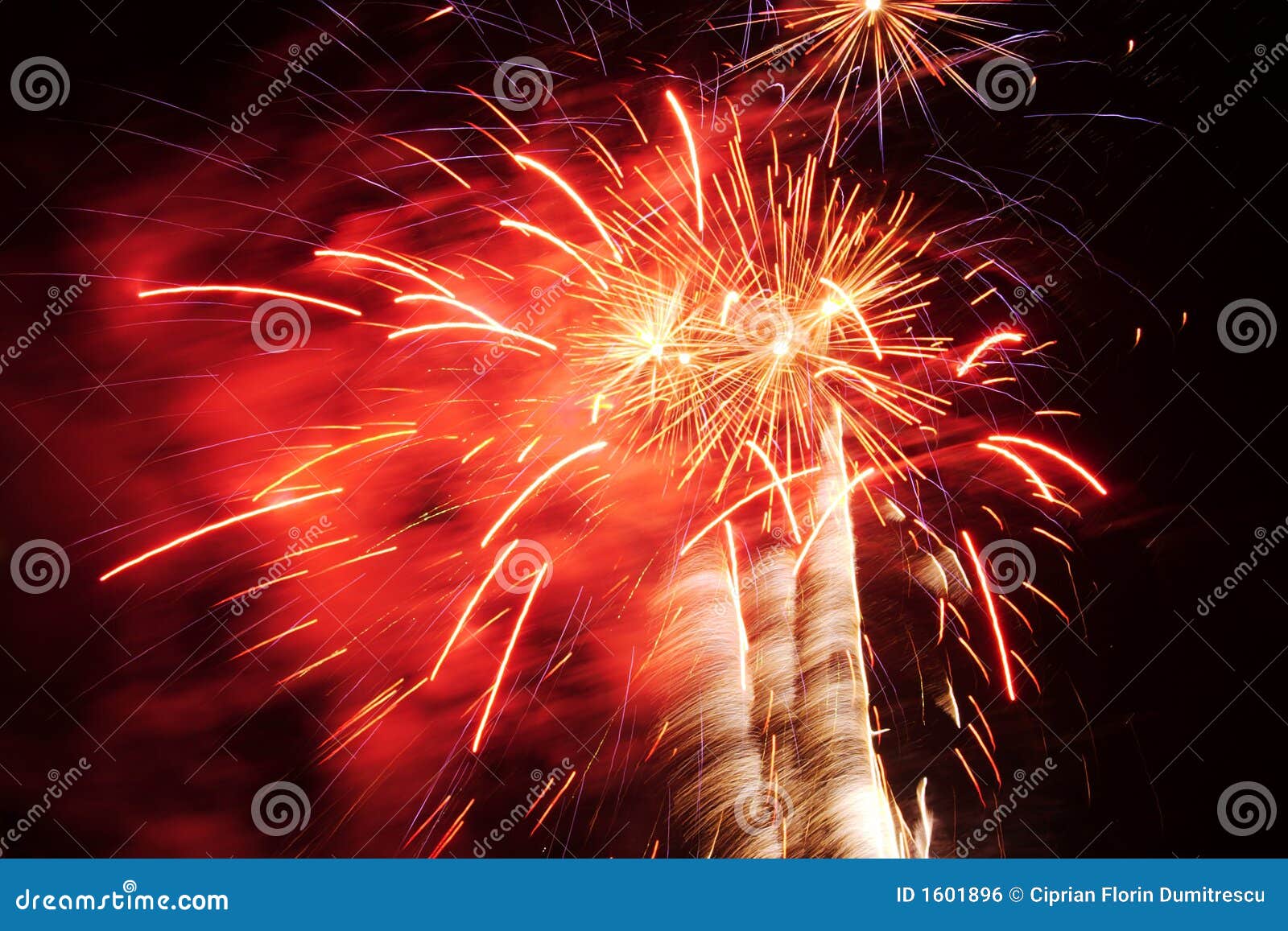 Fireworks palm tree stock photo. Image of artistic, celebration - 1601896