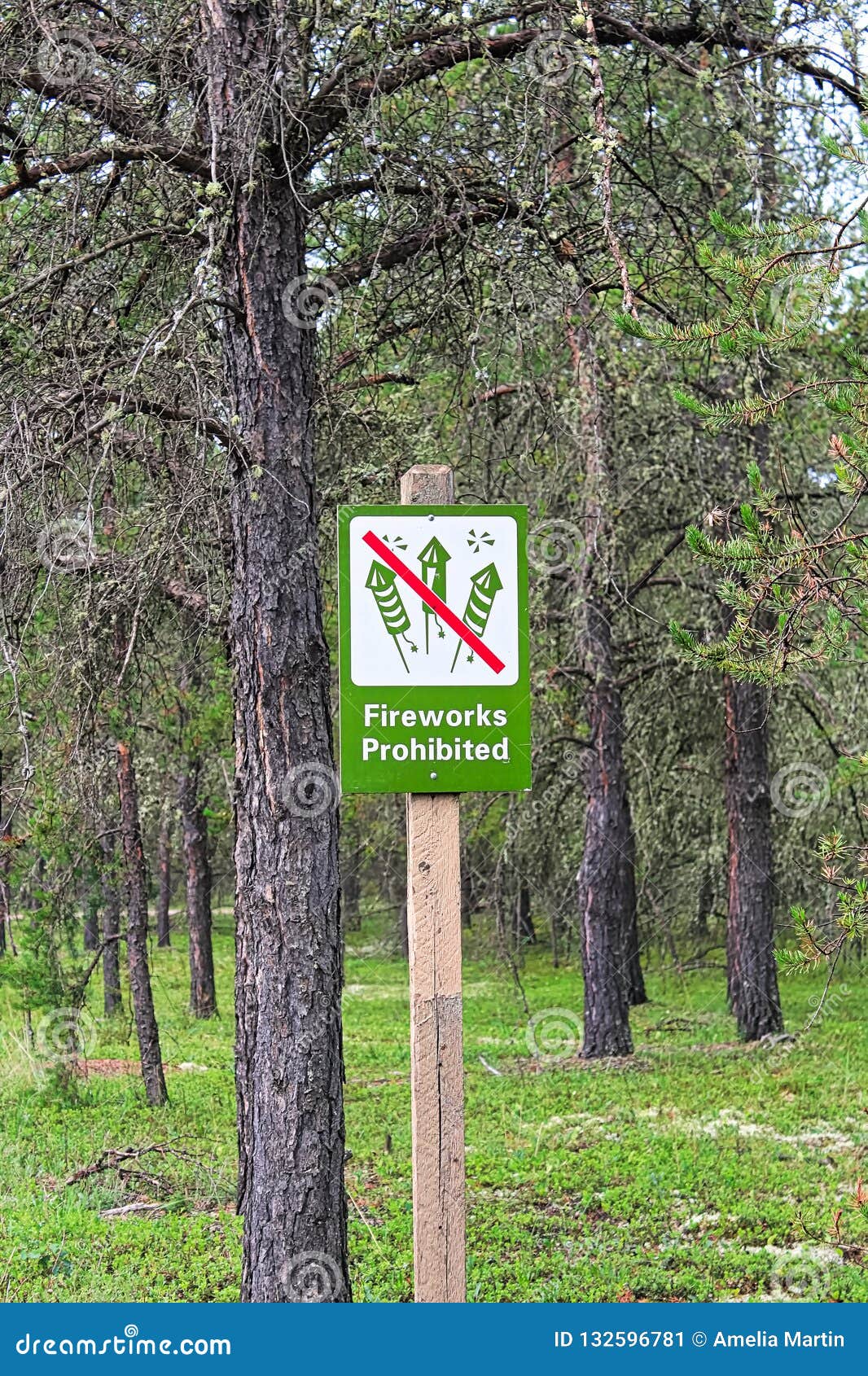 A Fireworks Prohibited Sign with a Forest Background Stock Image ...