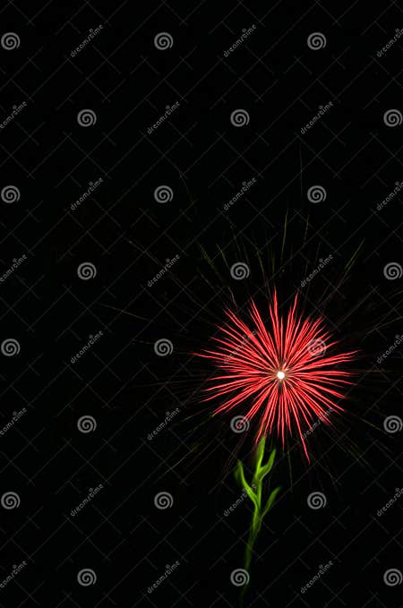 Fireworks - Red Flower stock photo. Image of darkness, show - 940786