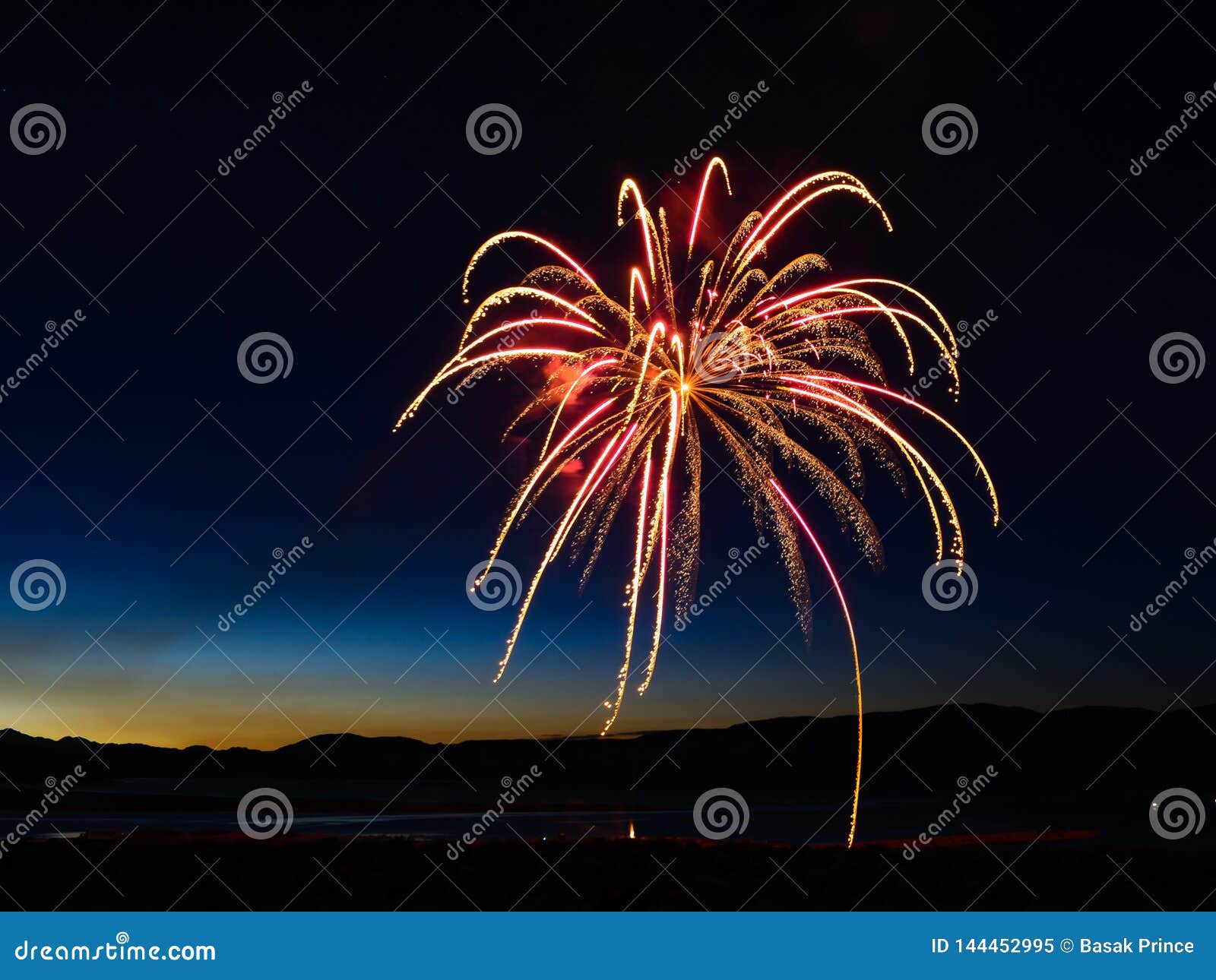 Fireworks in the Shape of a Palm Tree Stock Image - Image of bright ...
