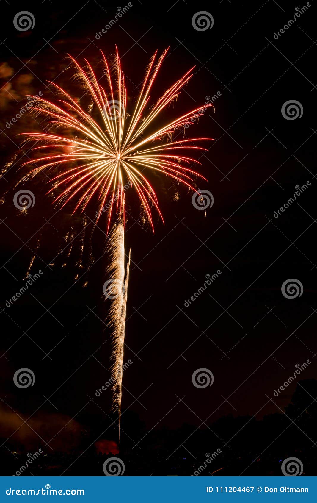 Fireworks Shot into the Air Stock Image - Image of night, colors: 111204467