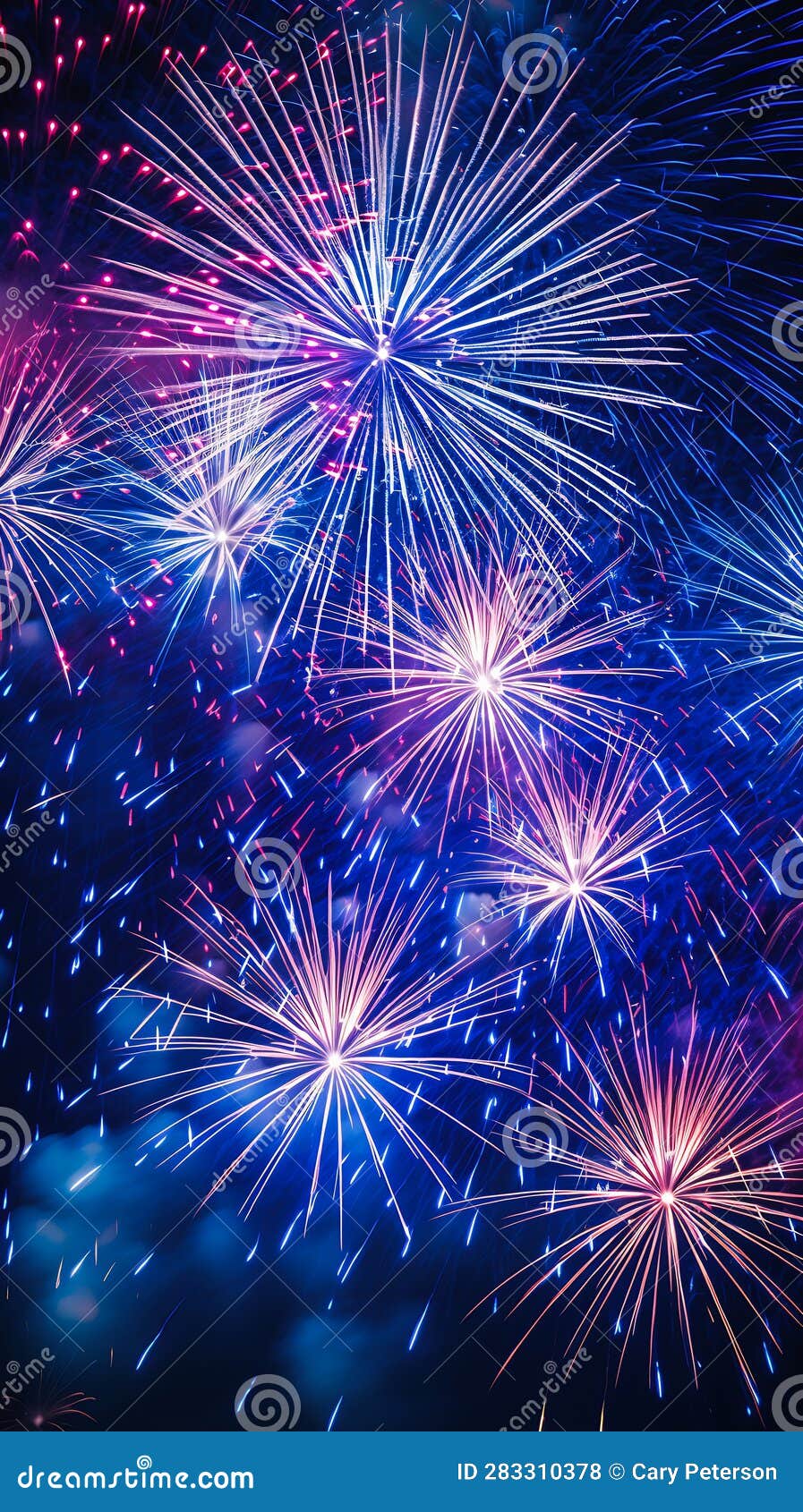 Fireworks Show the Night Sky Who S Interconnected and Who S Not Stock ...