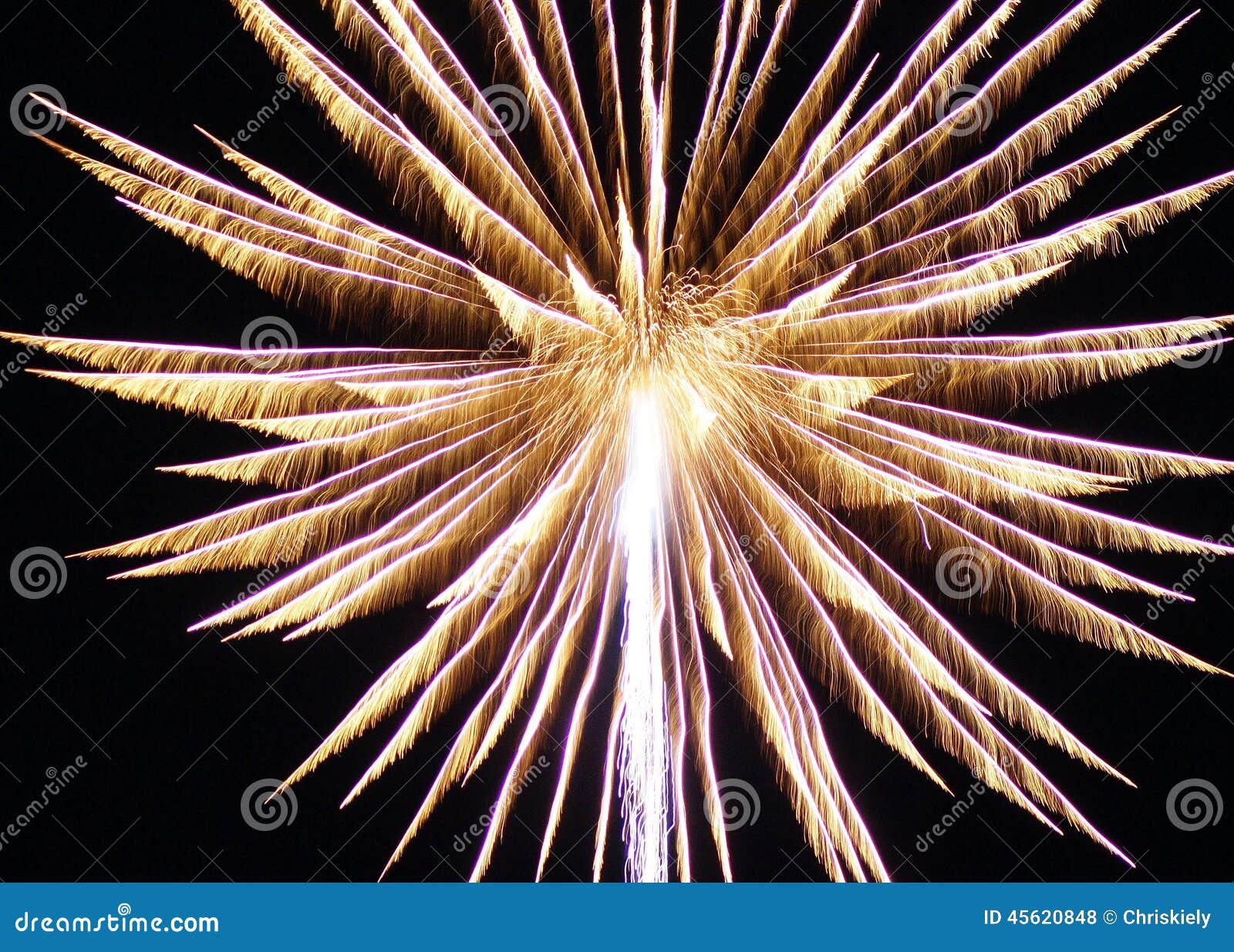 Fireworks stock photo. Image of animal, computer, banner - 45620848