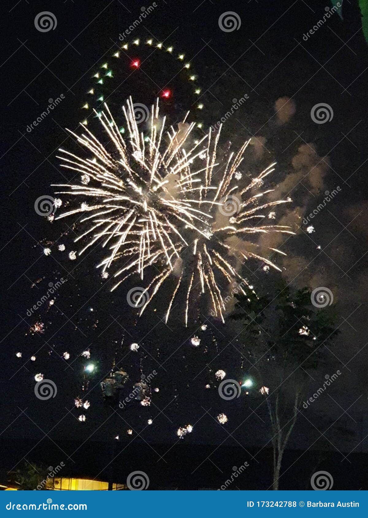 Fireworks 2020 Tet Lunar New Year Stock Photo - Image of year, lunar ...