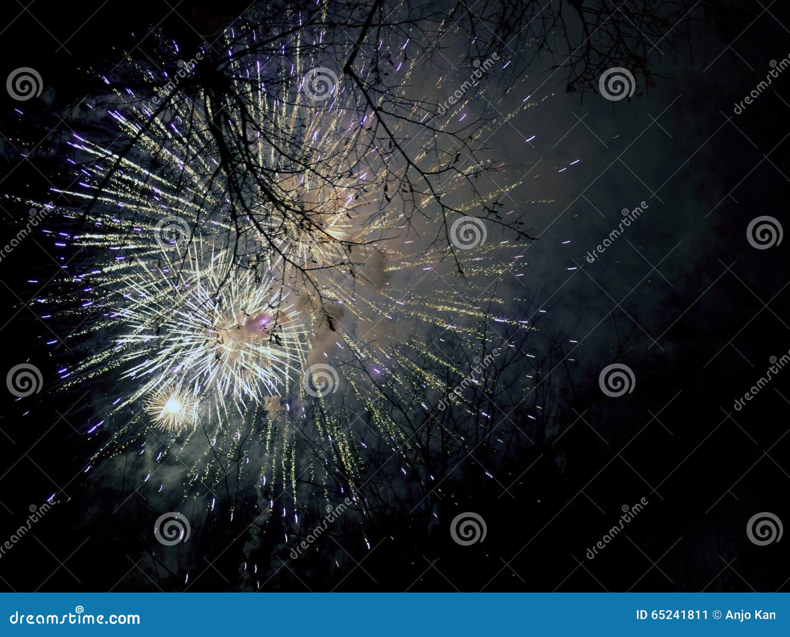 Fireworks and tree stock image. Image of burst, color - 65241811