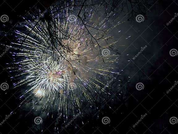 Fireworks and tree stock image. Image of burst, color - 65241811