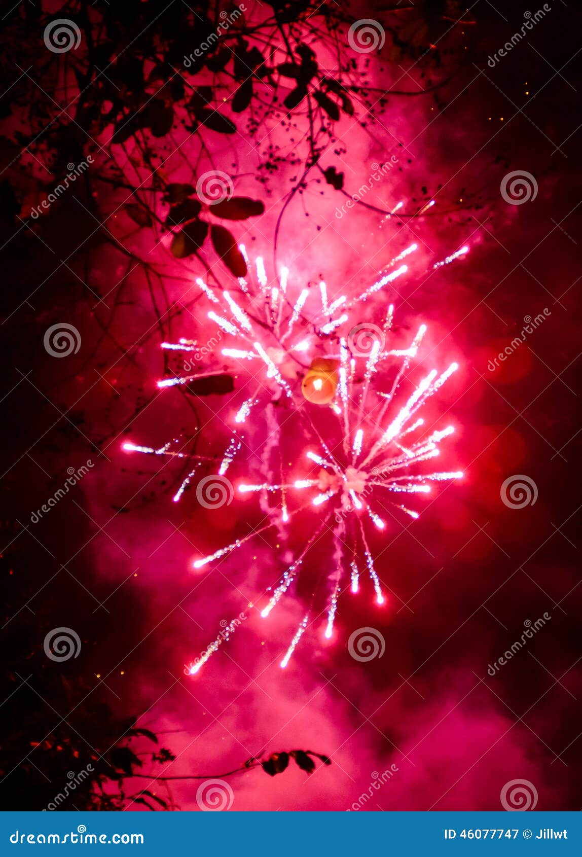 Fireworks on the tree stock image. Image of colorful - 46077747