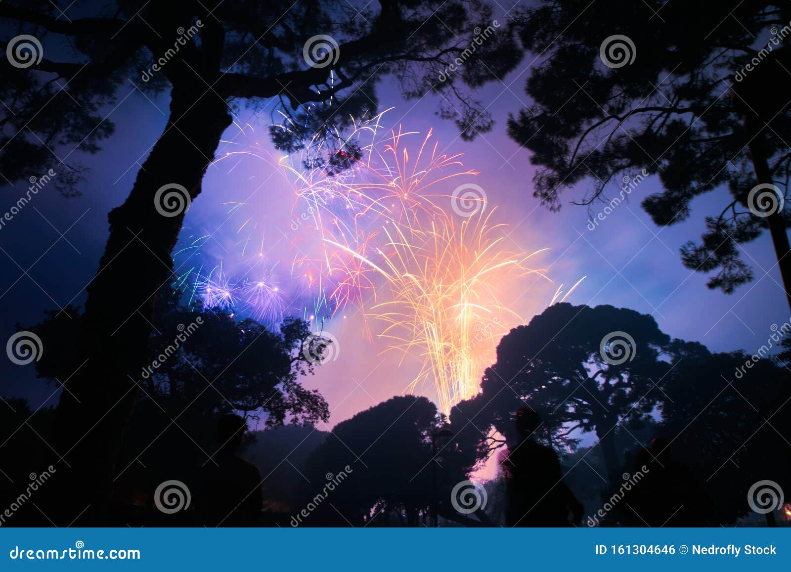 Fireworks with Tree Silhouettes Around Stock Photo - Image of poland ...