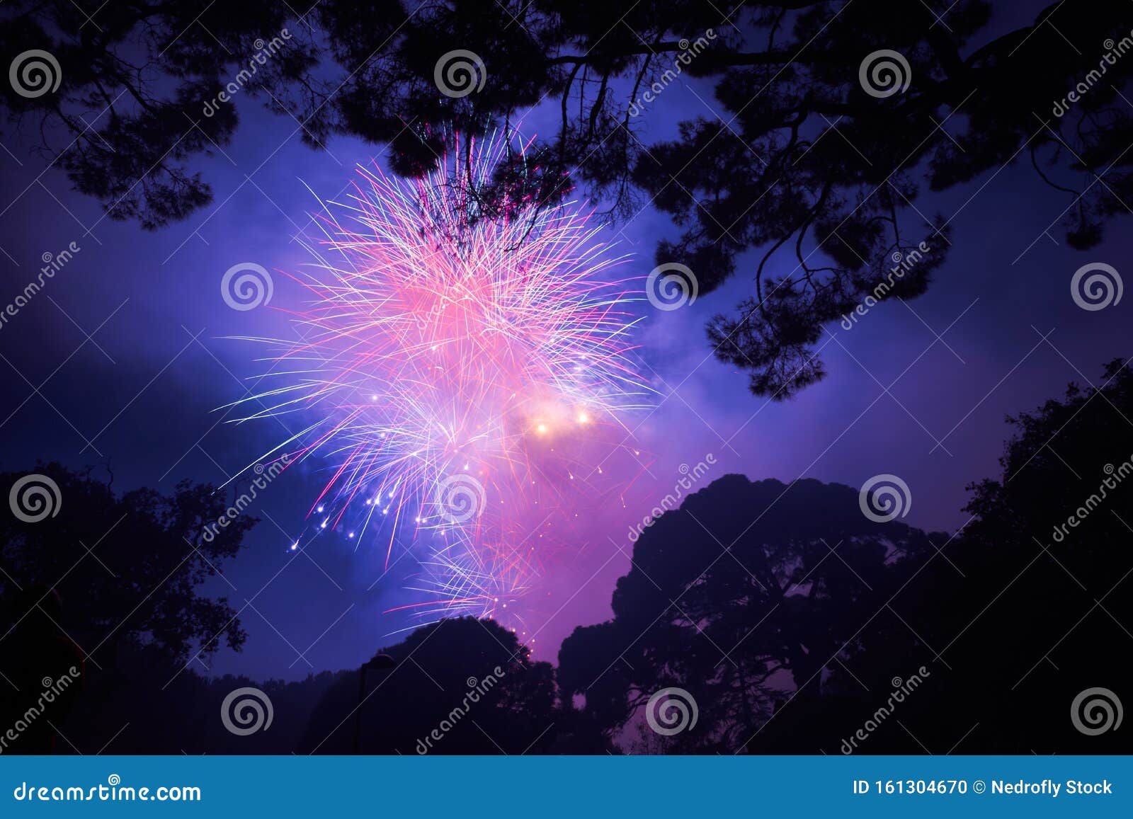 Fireworks with Tree Silhouettes Around Stock Photo - Image of colorful ...