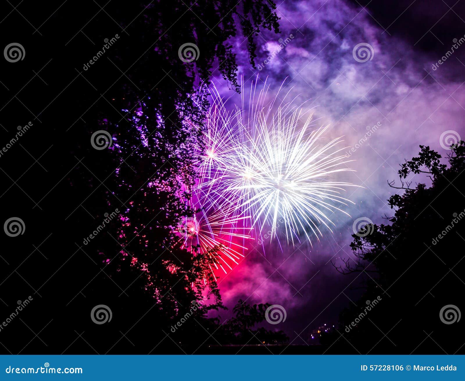 Fireworks and trees stock photo. Image of colours, night - 57228106