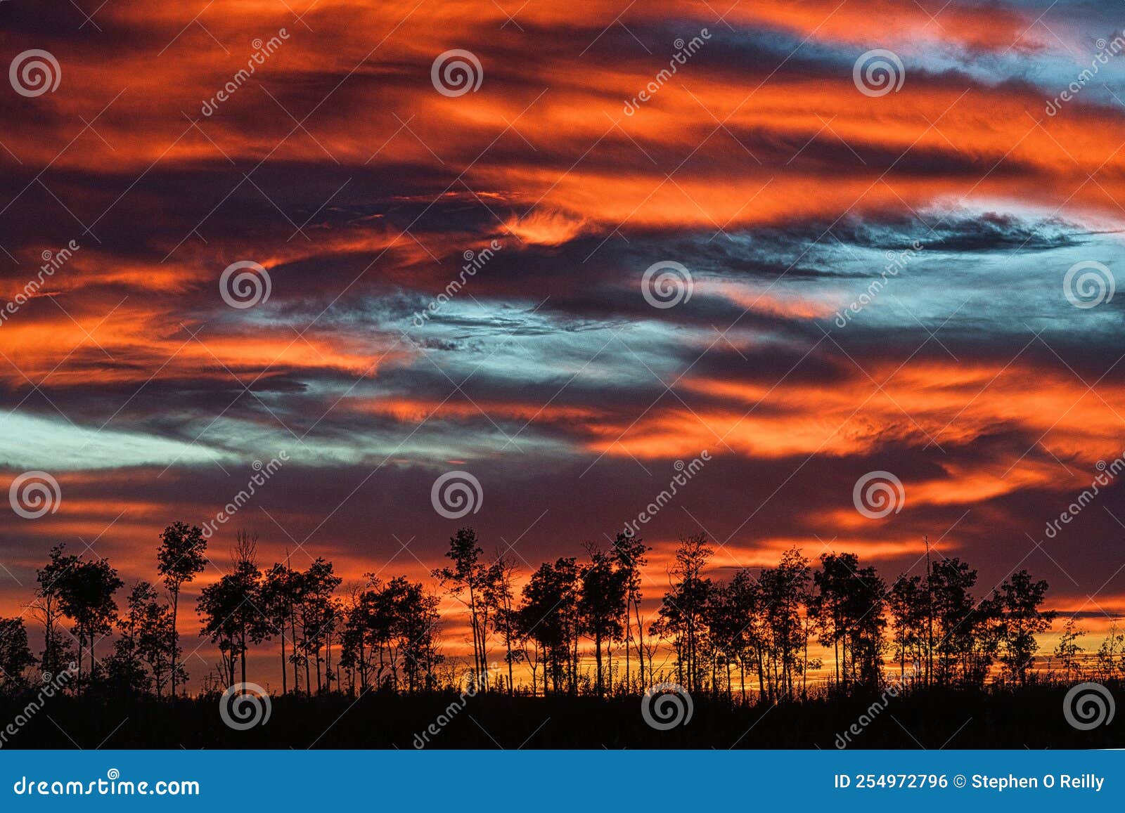 Firey Summer Night Sky Alberta Stock Photo - Image of night, alberta ...