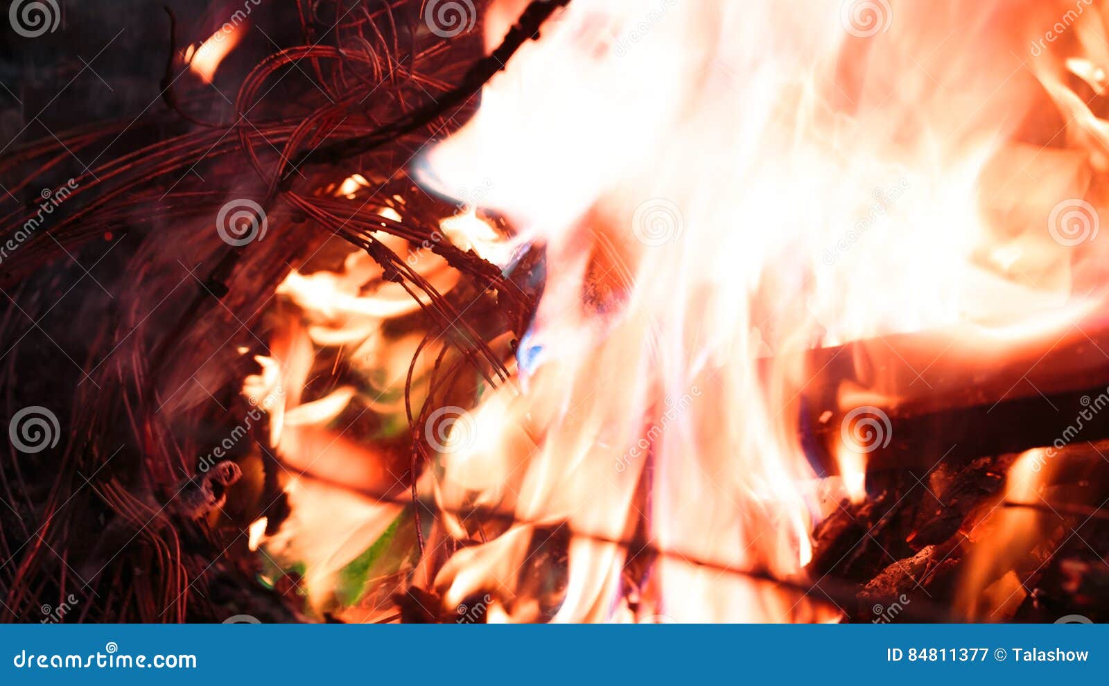 Firing wire in fire stock image. Image of dangerous, burn - 84811377