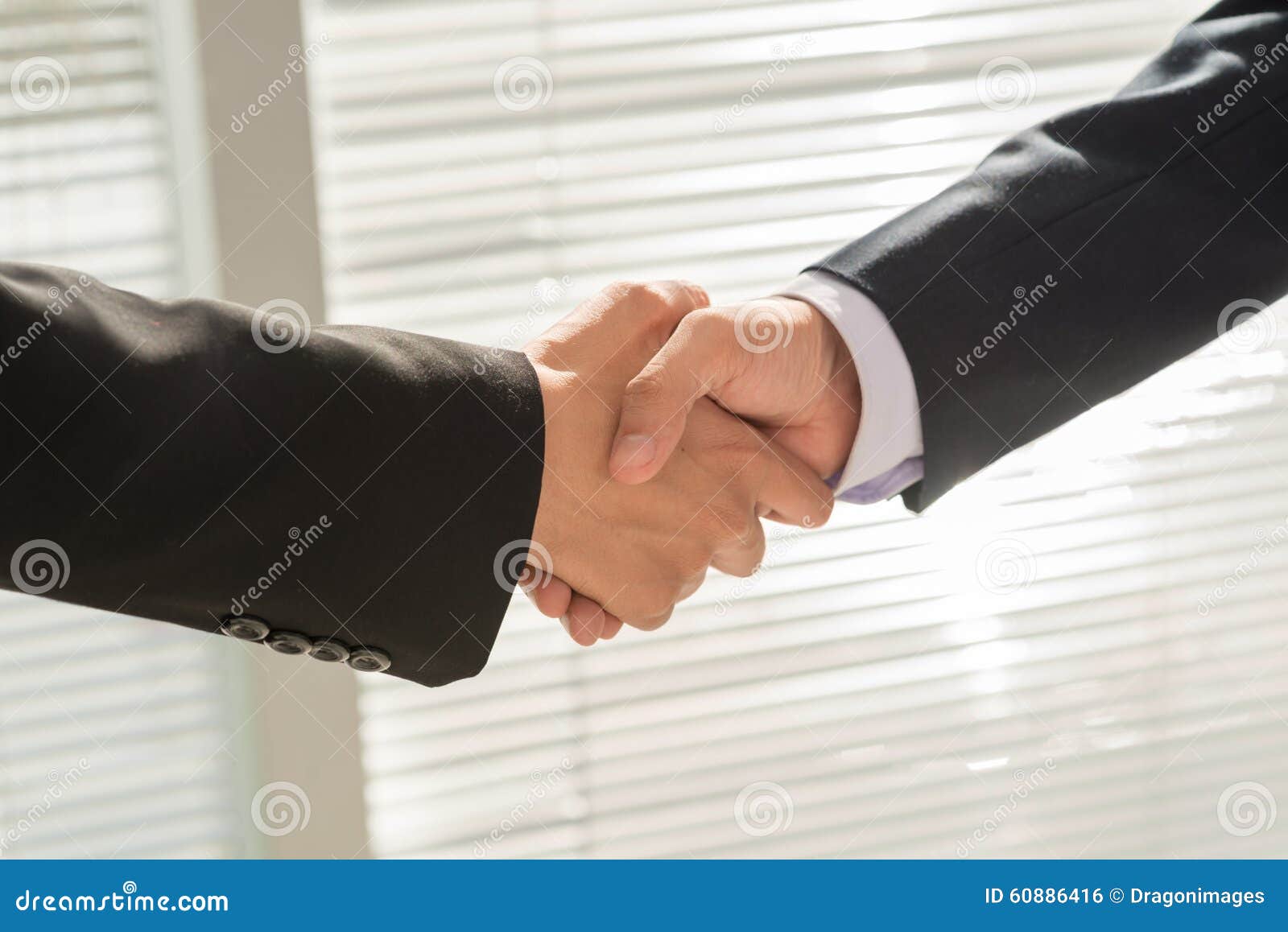 Firm handshake stock photo. Image of respect, client - 60886416