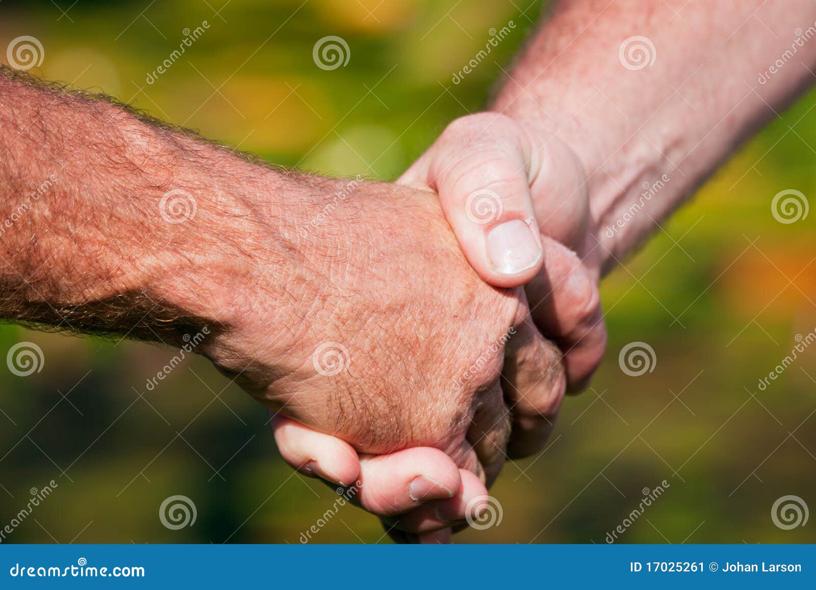 Firm Handshake between Two Men Stock Image - Image of friends, business ...
