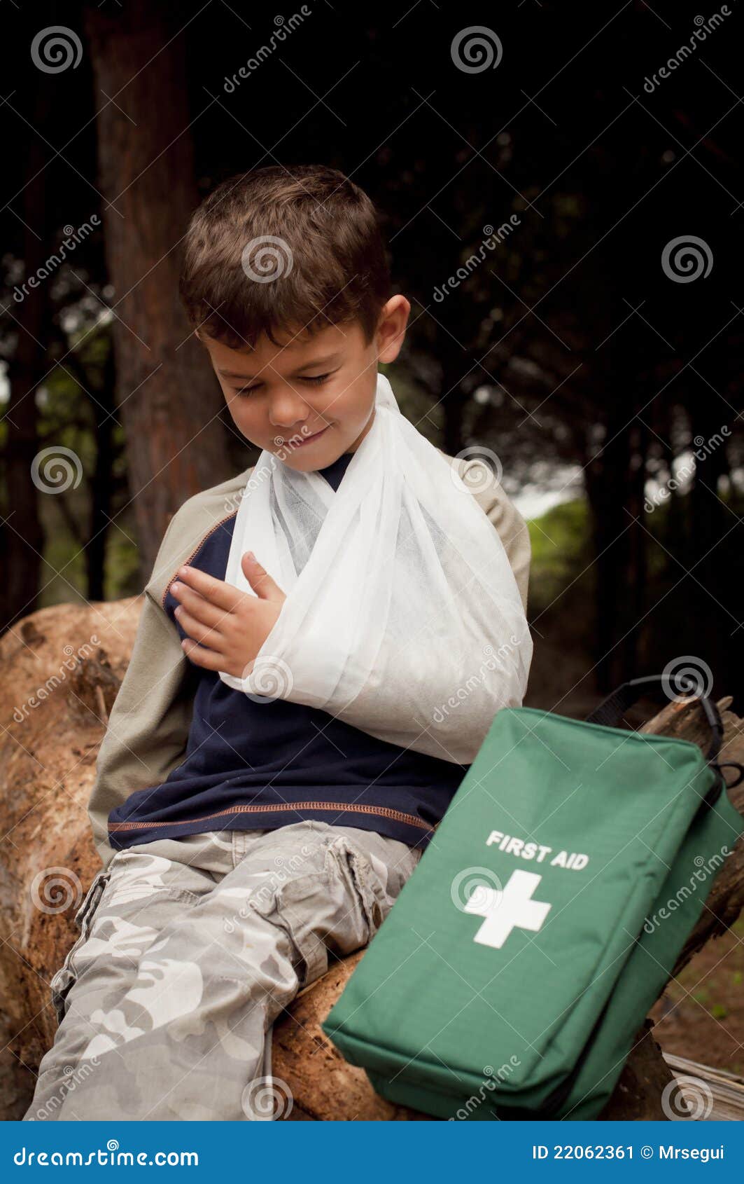 First Aid in the Forest stock image. Image of pine, wilderness - 22062361