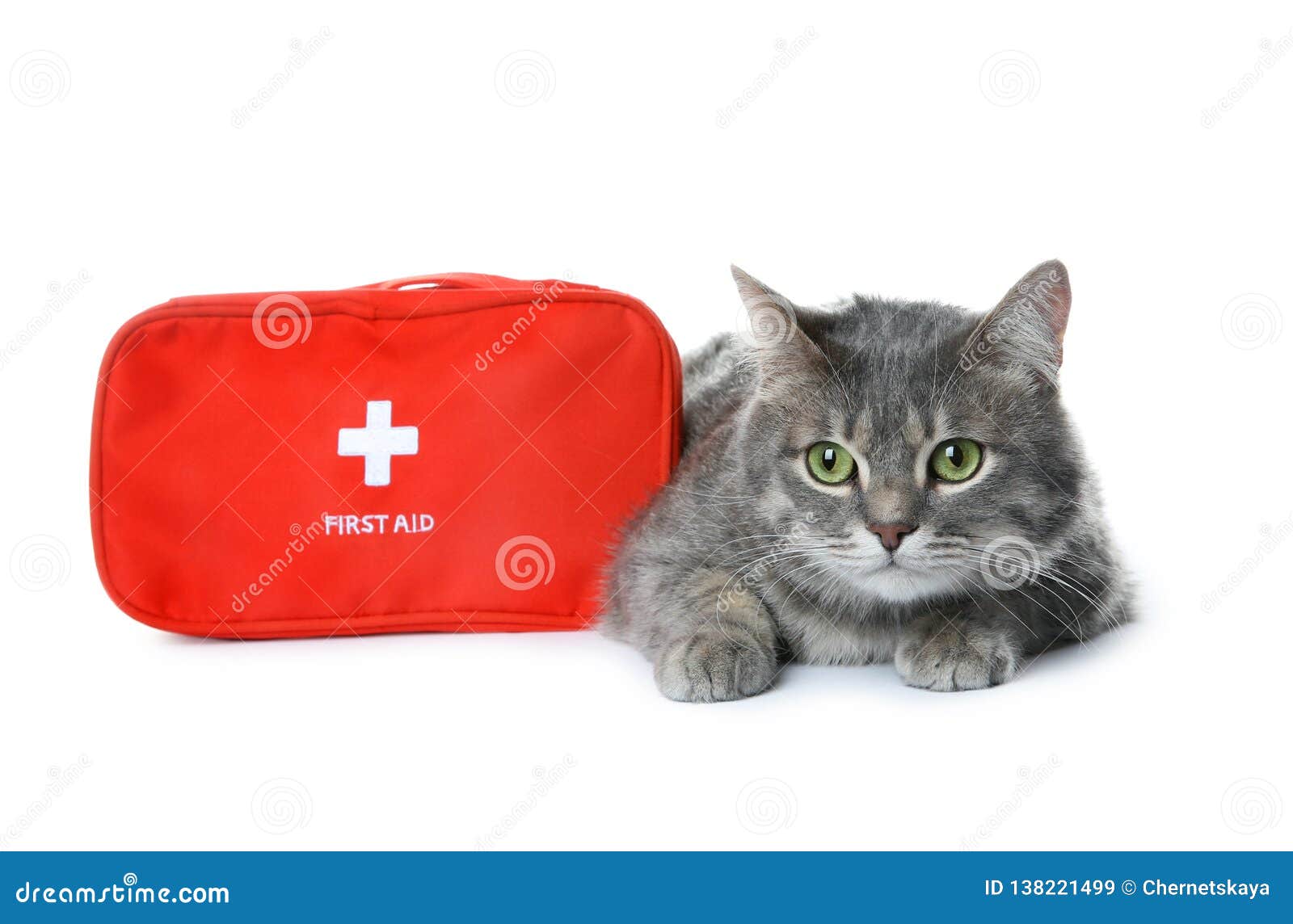 First Aid Kit and Cute Cat on White Background Stock Image - Image of ...