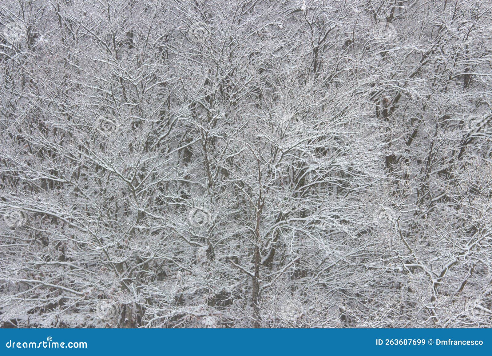 First Autumn Snowfall on the Italian Mountains Stock Image - Image of ...