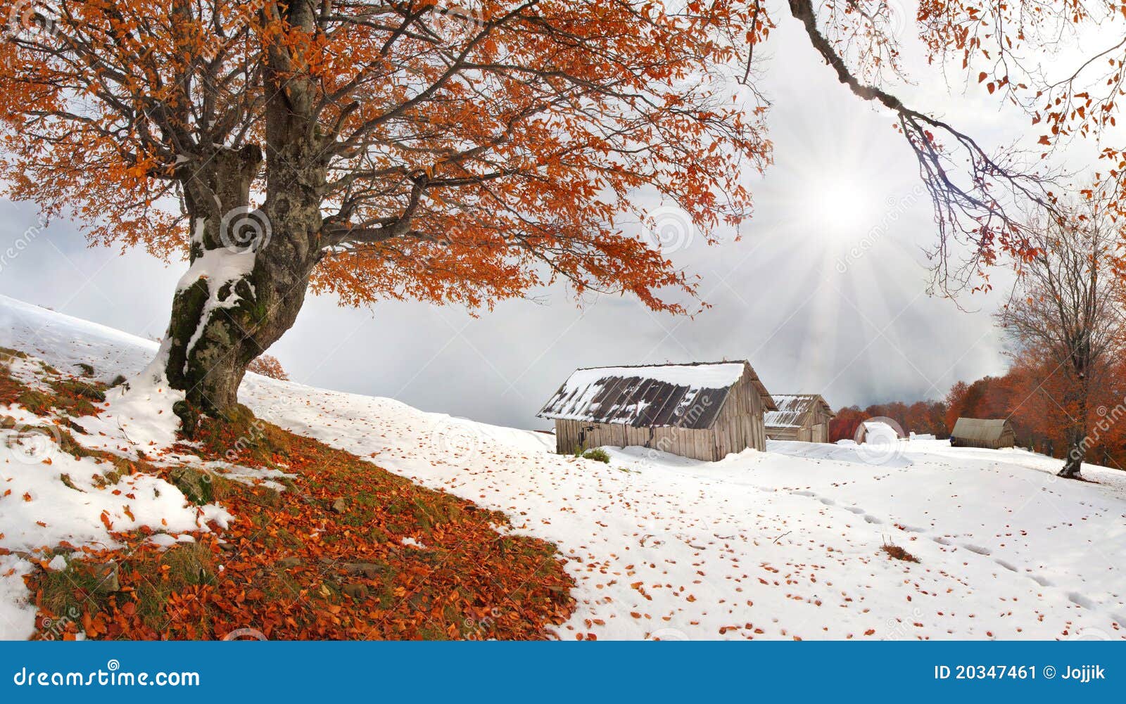 First autumn sudden snow stock image. Image of color - 20347461