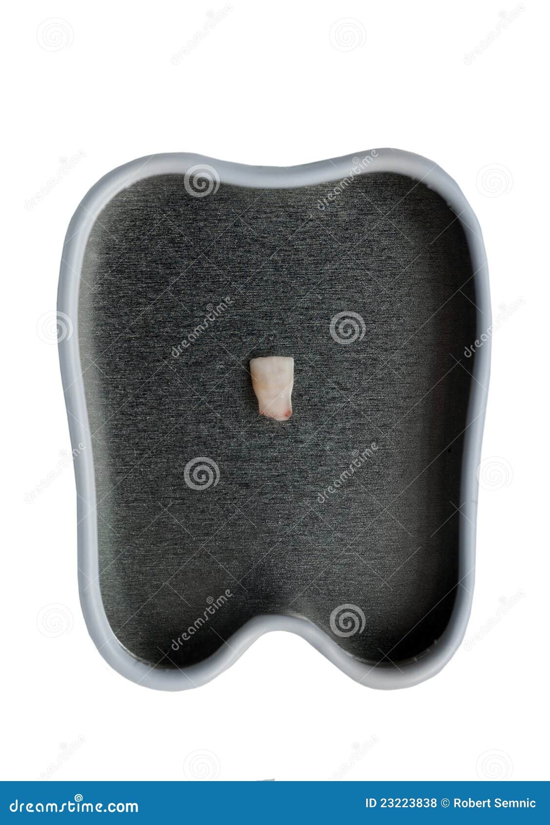 First baby teeth out stock photo. Image of moment, expression - 23223838