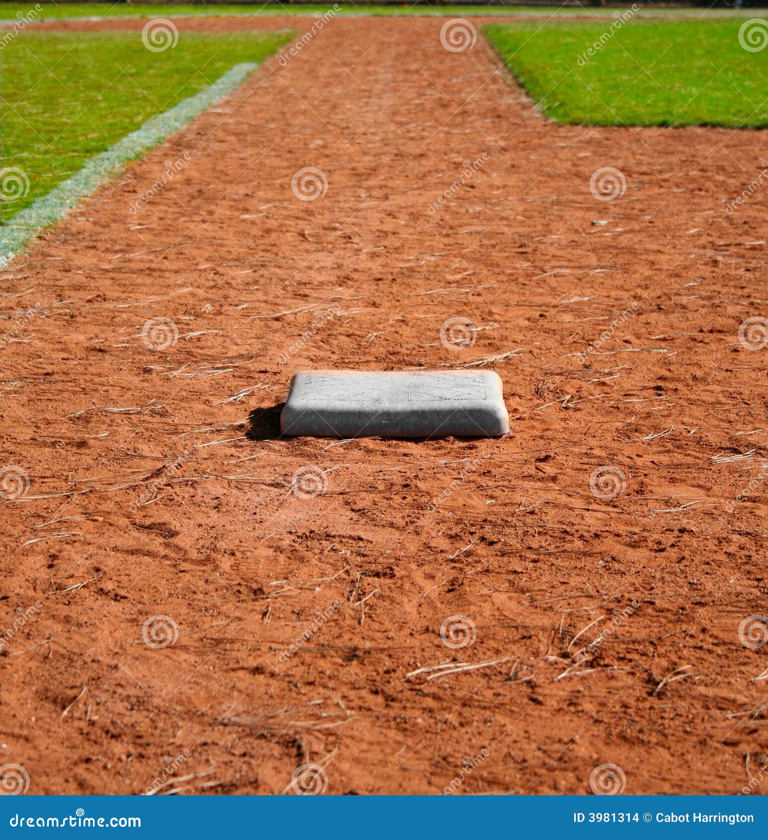 First Base stock photo. Image of stretch, baseball, little - 3981314