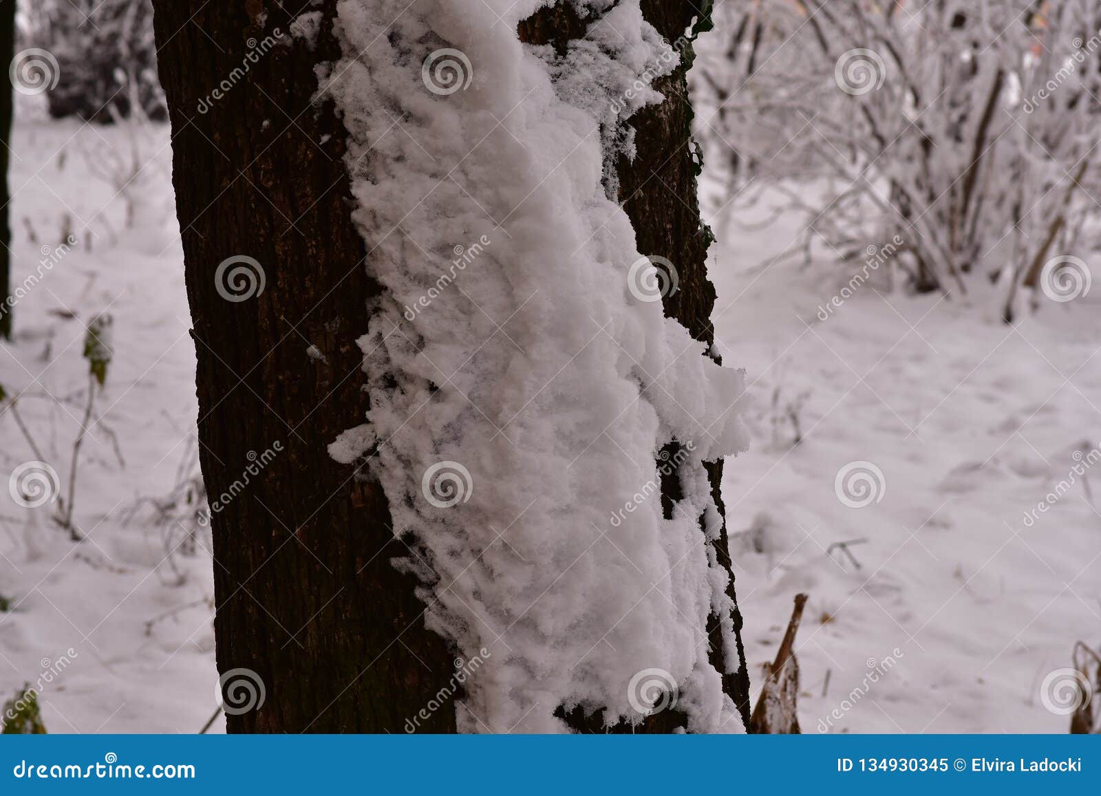 The First Big Snow at My Home Stock Image - Image of cold, village ...