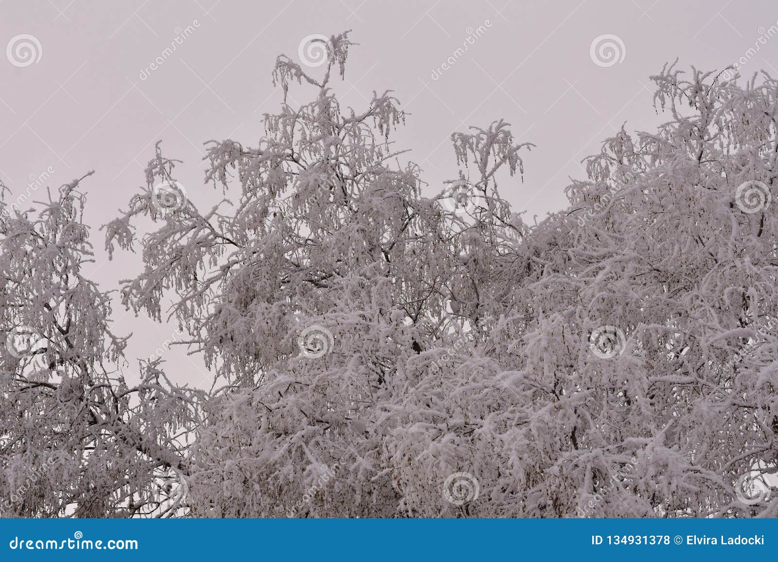 The First Big Snow at My Home Stock Photo - Image of decorations ...
