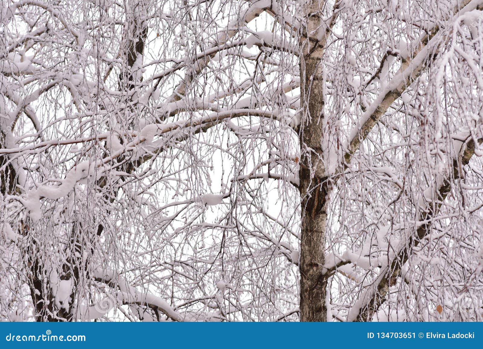 The First Big Snow at My Home Stock Image - Image of decorative, close ...