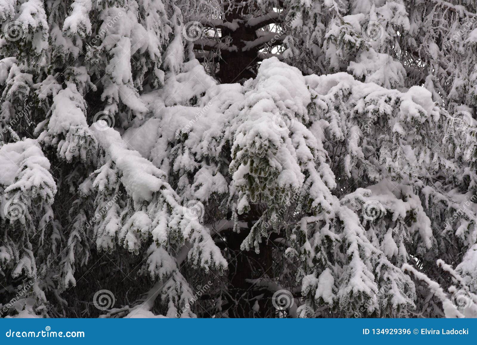 The First Big Snow at My Home Stock Photo - Image of sunshine, village ...