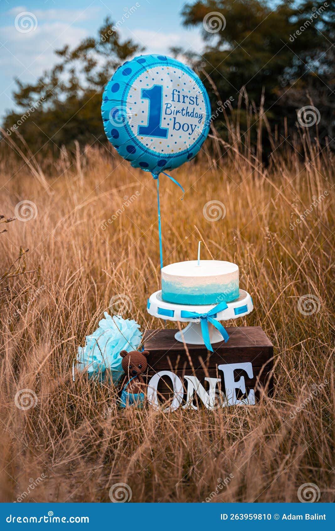 First Birthday Cake , Happy Birthday Stock Photo - Image of cake, brown ...