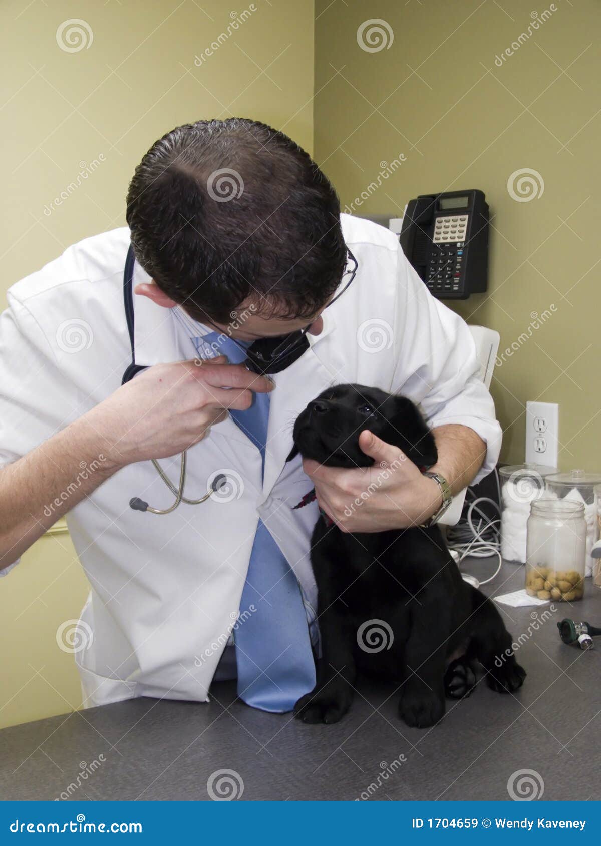 First Check-Up stock image. Image of instrument, trust - 1704659