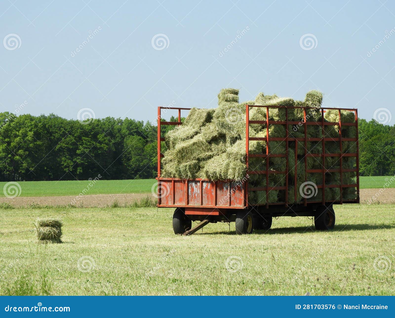 First Cutting of Hayfield Using Square Bales of Hay Stock Photo - Image ...