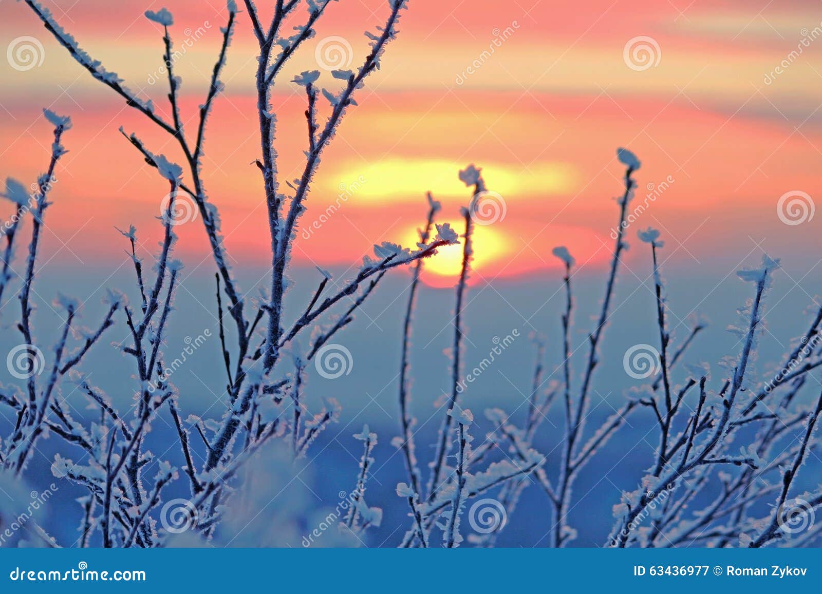 The first dawn stock image. Image of yellow, scene, sport - 63436977