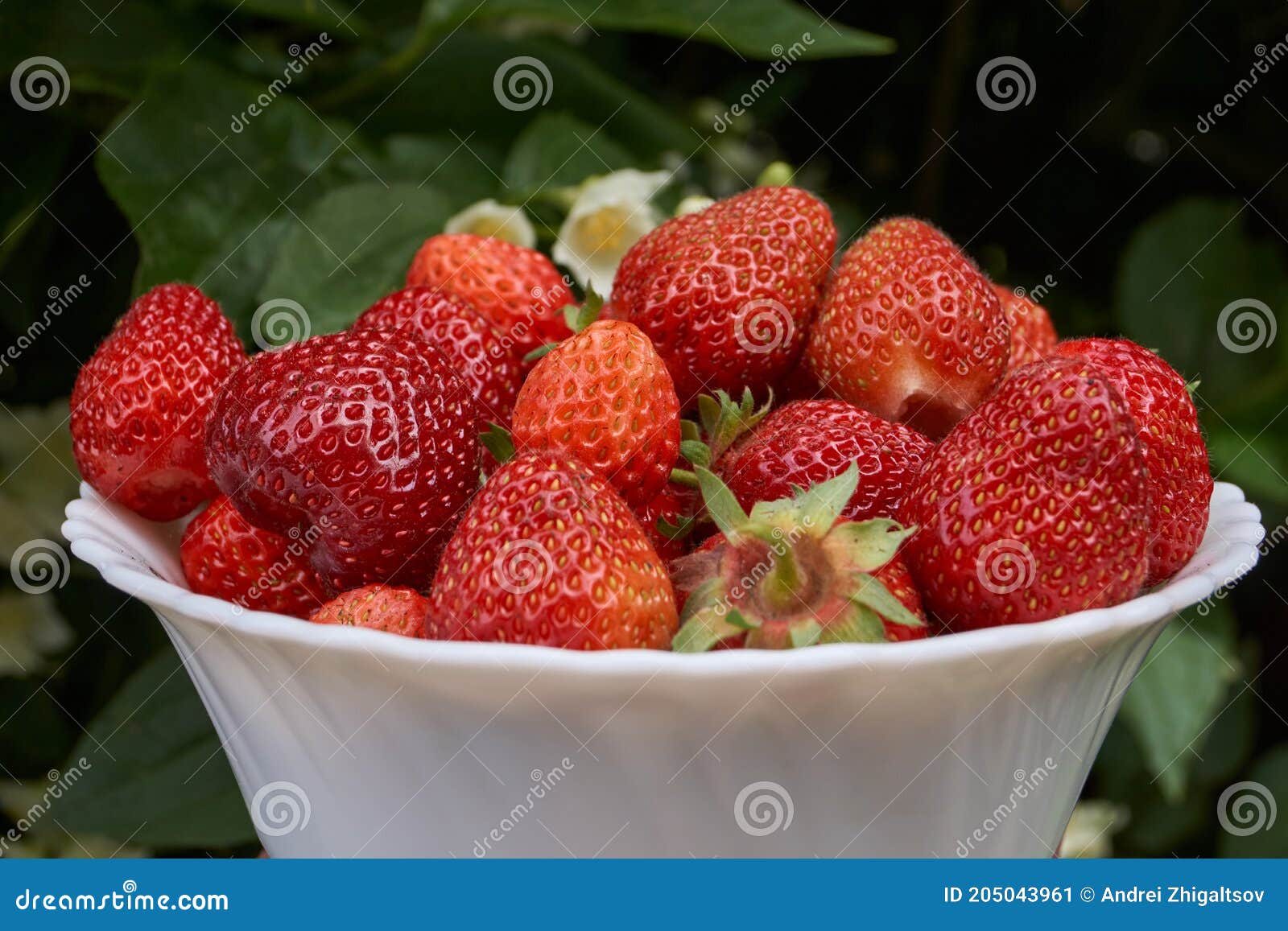 The First Day of Summer and the First Strawberry Stock Image - Image of ...