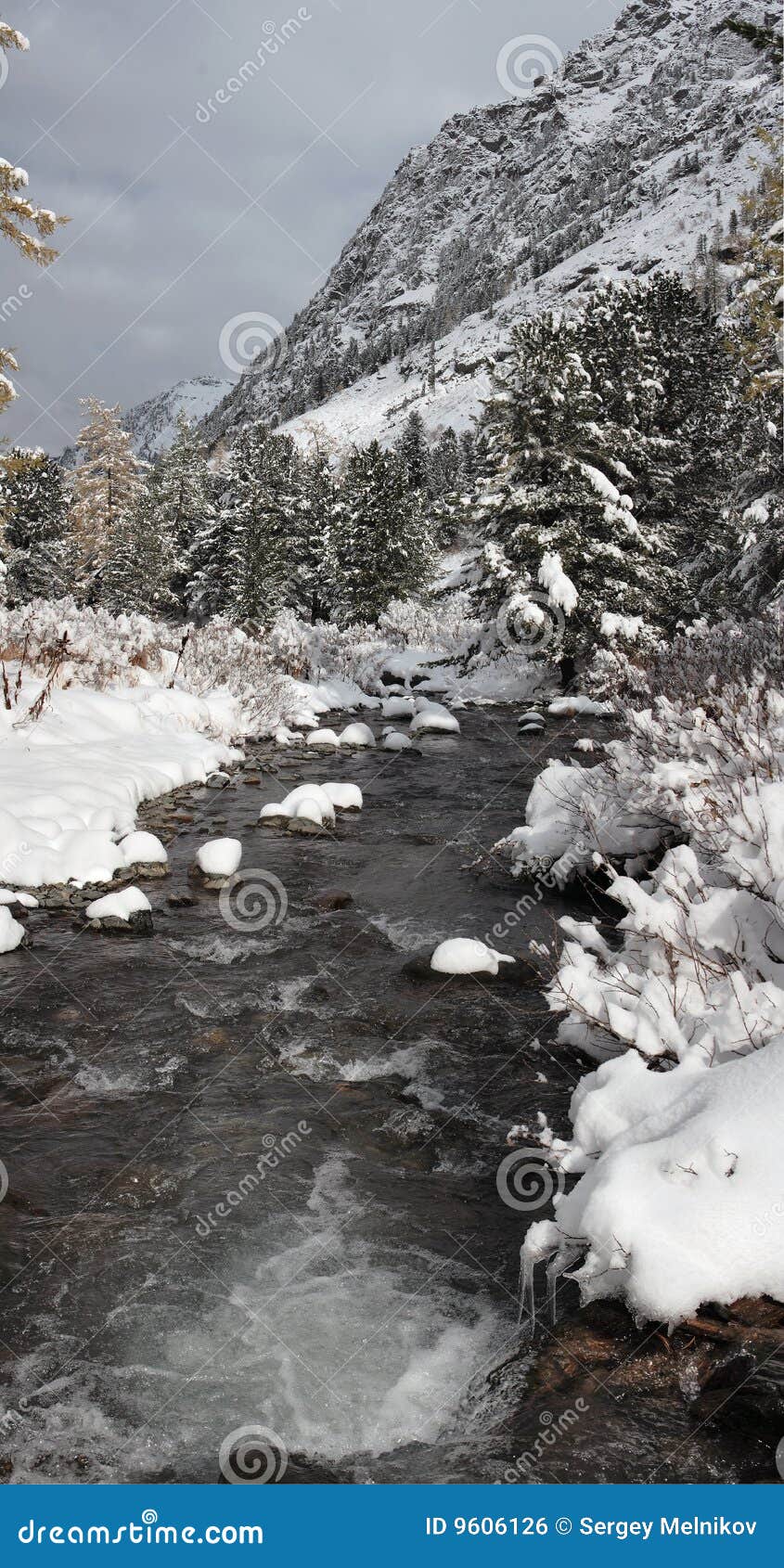 The first day of winter. stock photo. Image of winter - 9606126