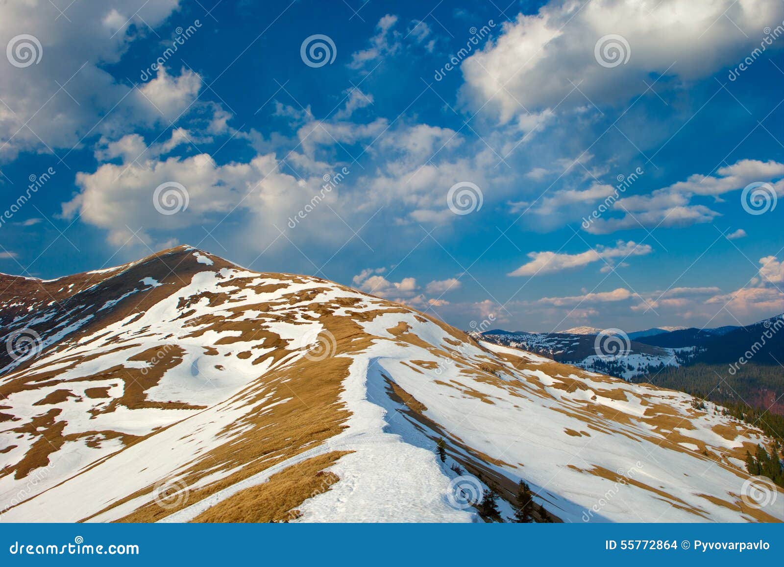 First days of spring stock photo. Image of cold, peace - 55772864