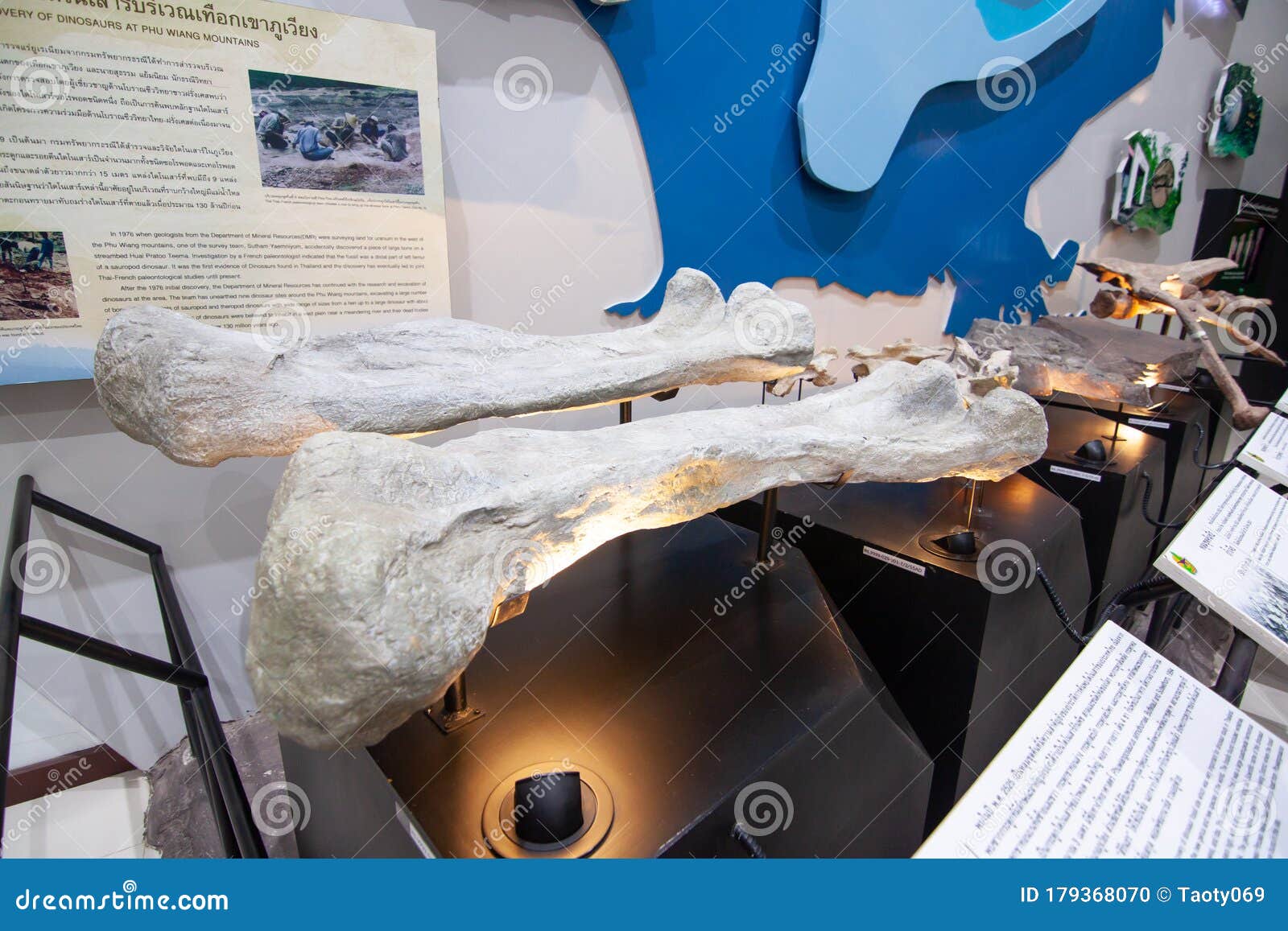 First Dinosaur Discovery In Phu Wiang Editorial Photo | CartoonDealer ...