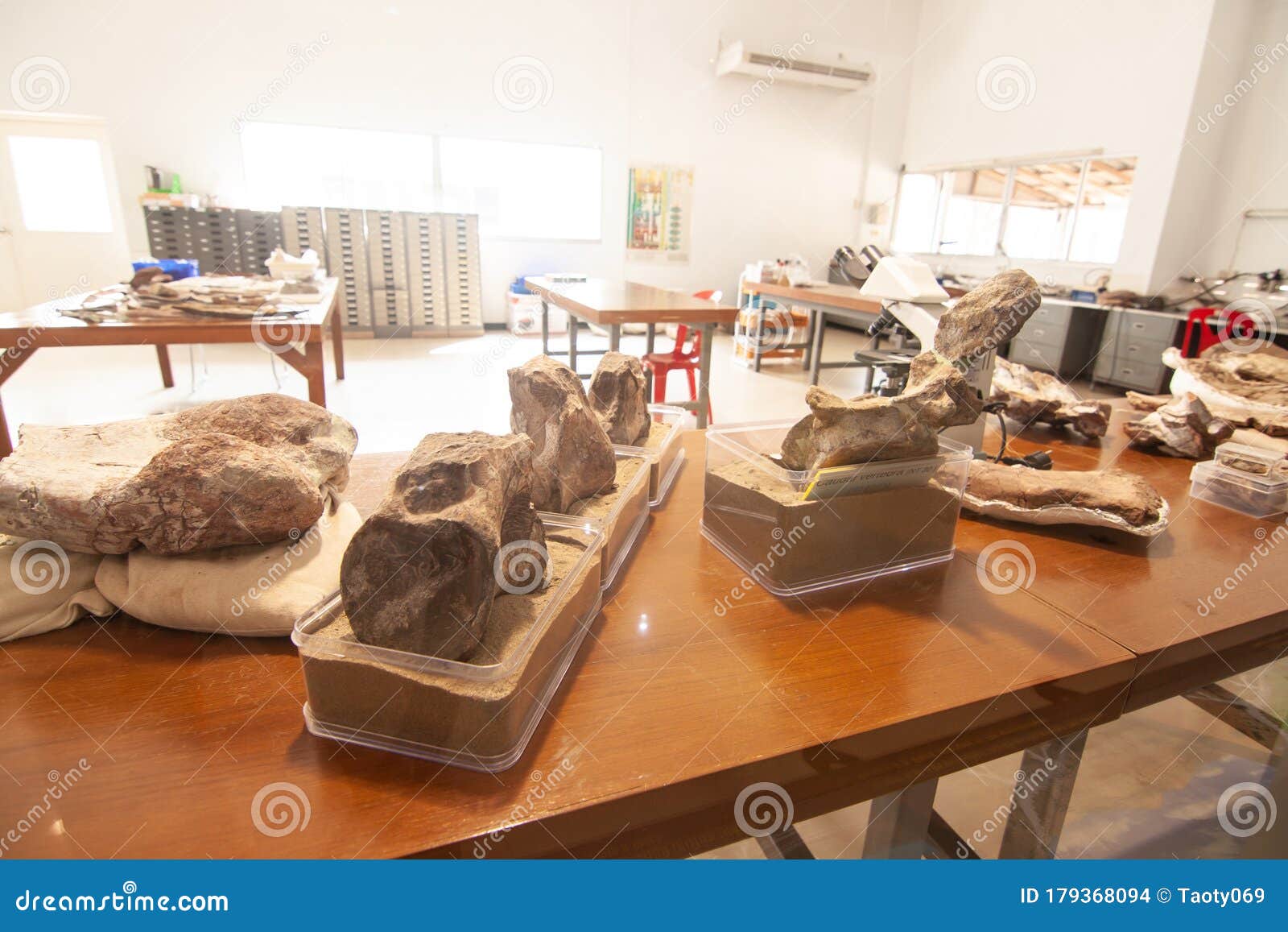First Dinosaur Discovery in Phu Wiang Editorial Stock Image - Image of ...