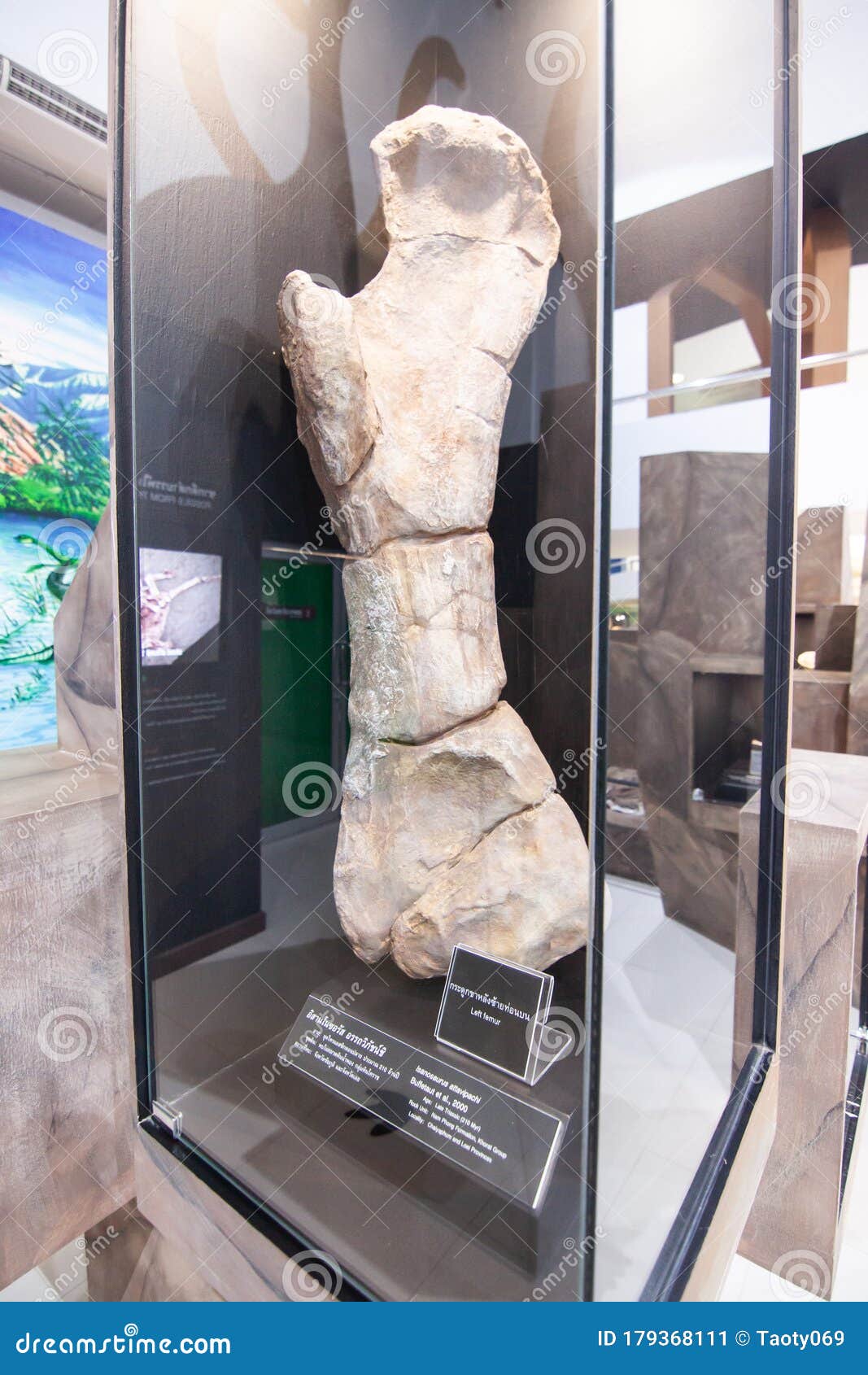 First Dinosaur Discovery In Phu Wiang Editorial Photo | CartoonDealer ...