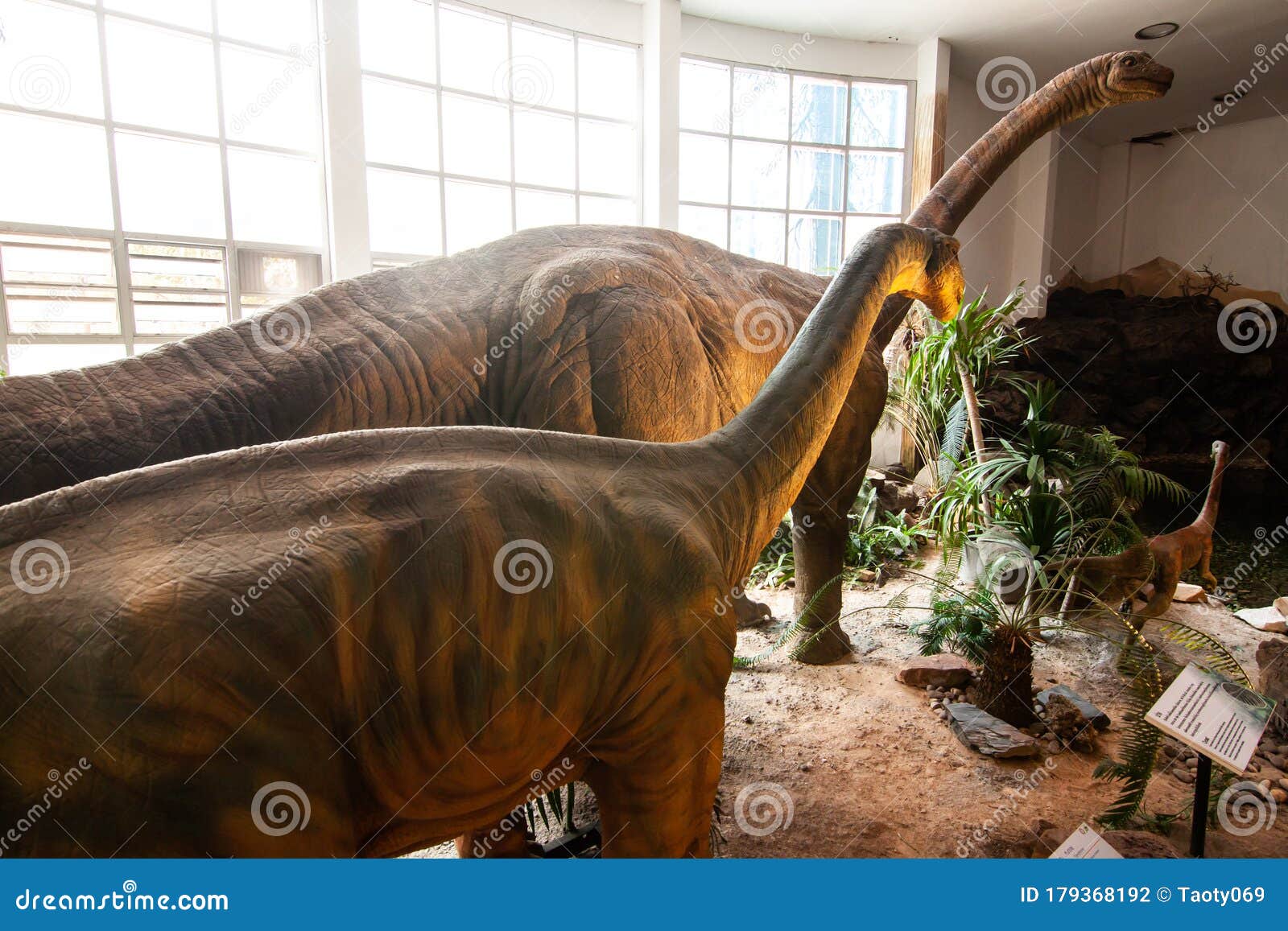 First Dinosaur Discovery in Phu Wiang Editorial Photography - Image of ...
