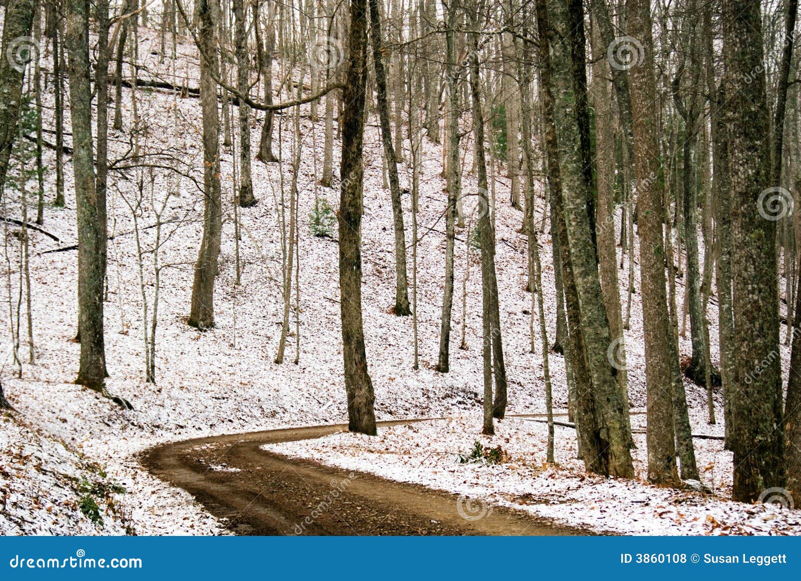 First dusting of snow stock photo. Image of quiet, alone - 3860108