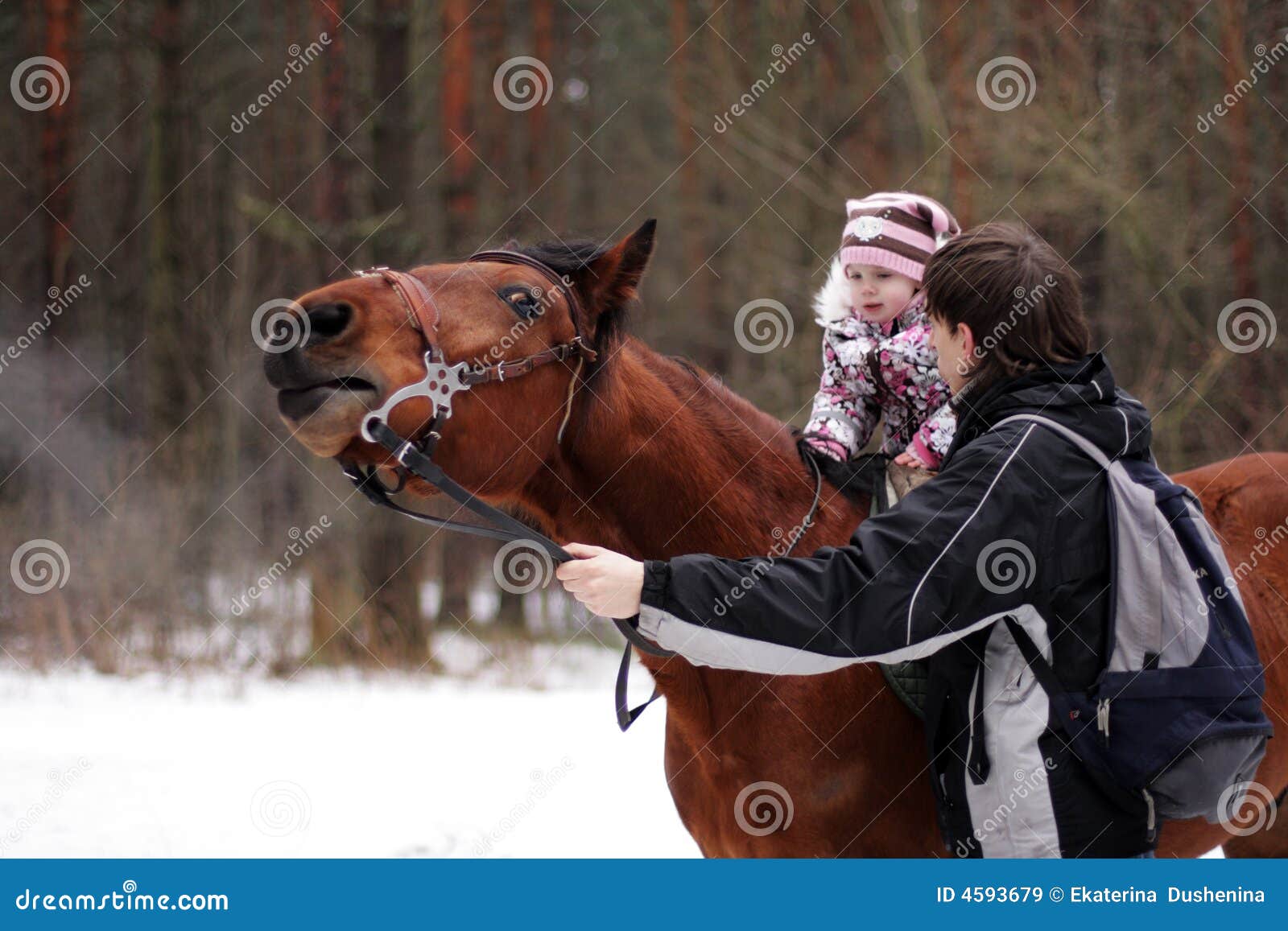 First Experience - Little Rider Stock Image - Image of brown, beautiful ...
