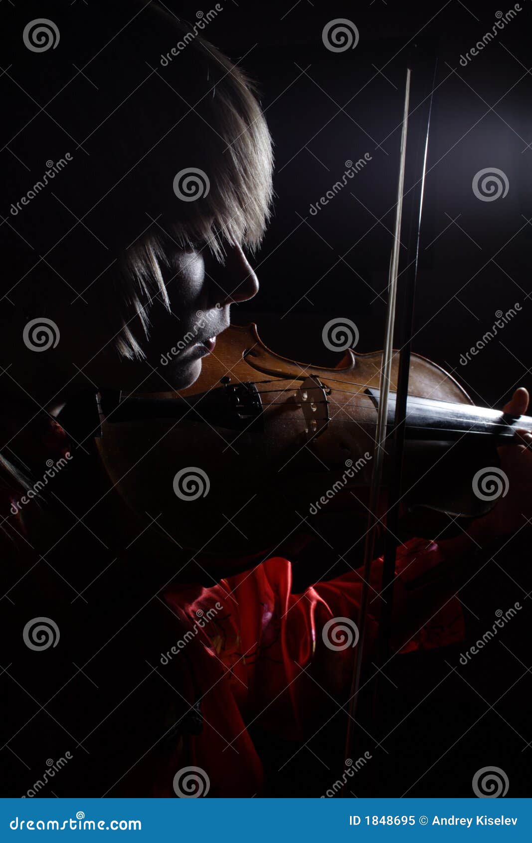 First fiddle stock image. Image of band, melody, dress - 1848695