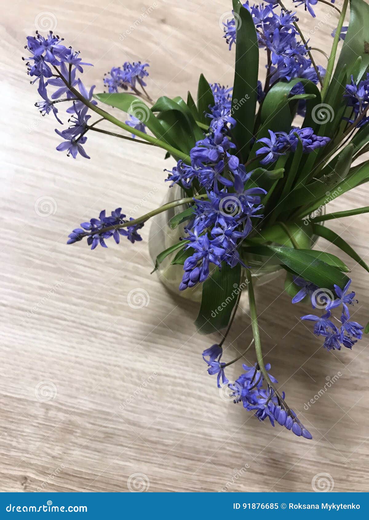 First flowers of spring stock image. Image of love, green - 91876685