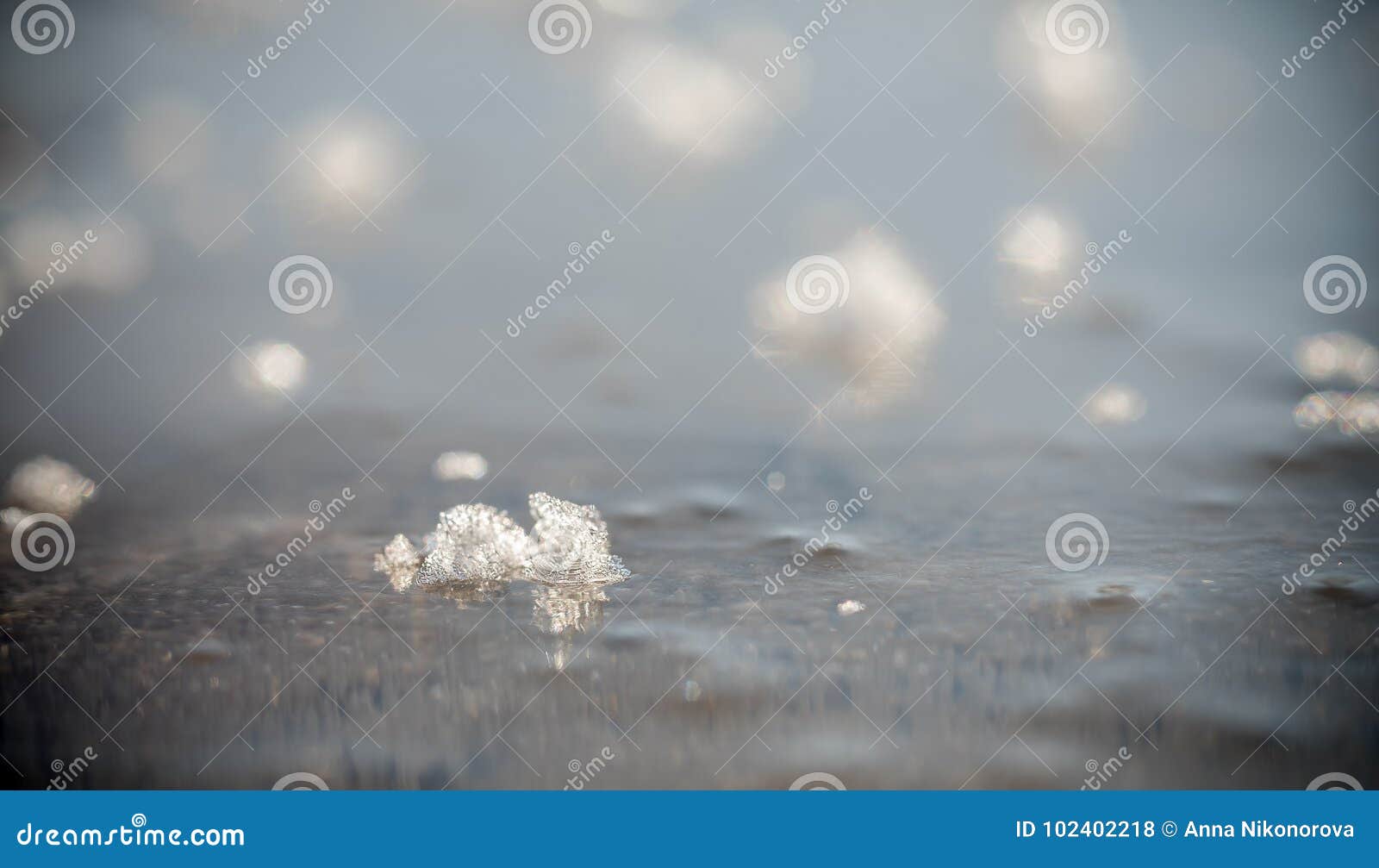 First Freezing on the Puddle Stock Photo - Image of crystal, outdoor ...