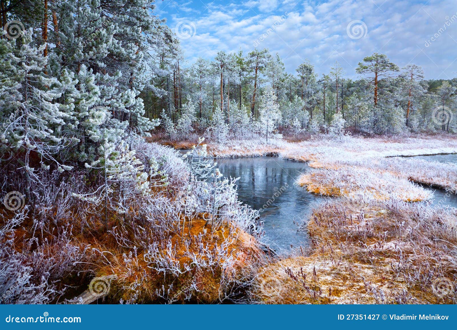 First Frost in the Autumn Forest Stock Image - Image of scenic ...