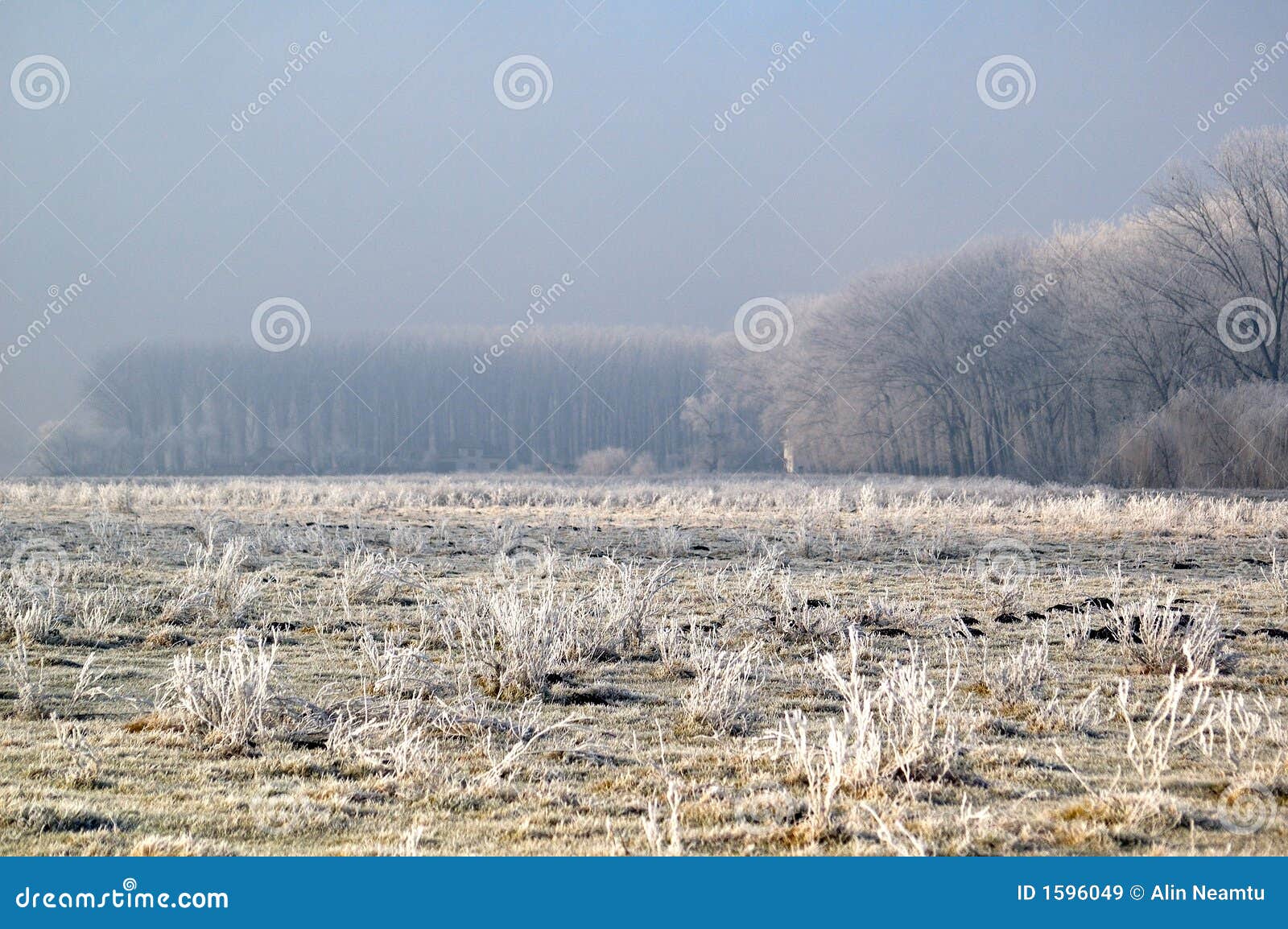 First Frost - Elements stock image. Image of blue, filter - 1596049